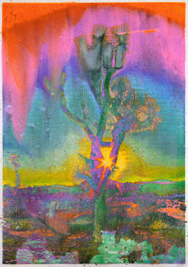 Matthew Brandt - Works | M+B