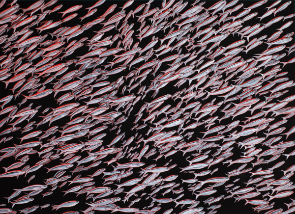 Doug Argue - Works | Modern Fine Art