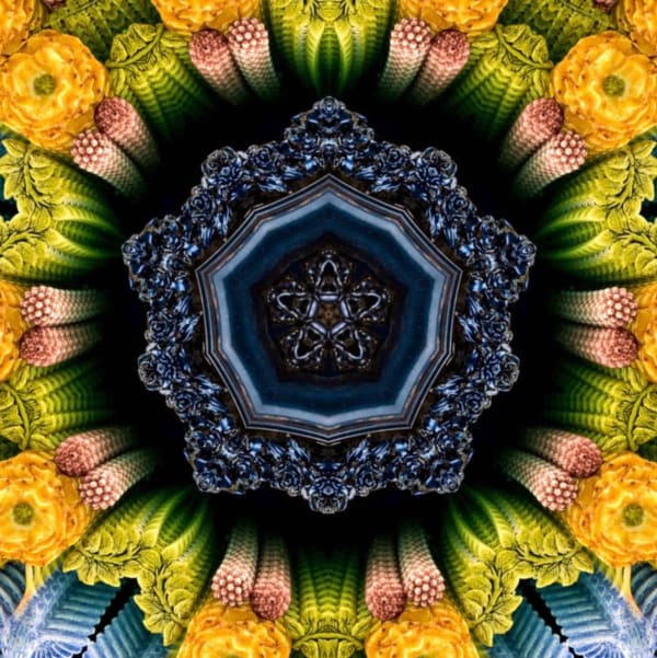 Tim Tate | Momentum Gallery