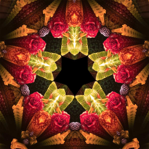 Tim Tate | Momentum Gallery