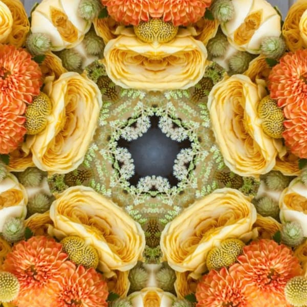 Tim Tate | Momentum Gallery