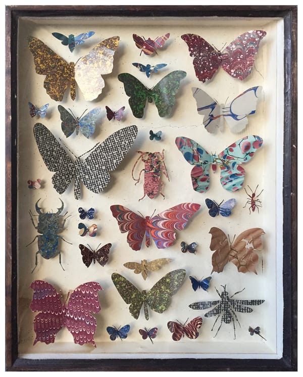 Helen Ward | Porthminster Gallery