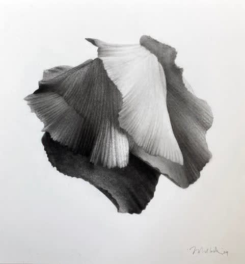 Jonathan Delafield Cook - Works | Purdy Hicks Gallery