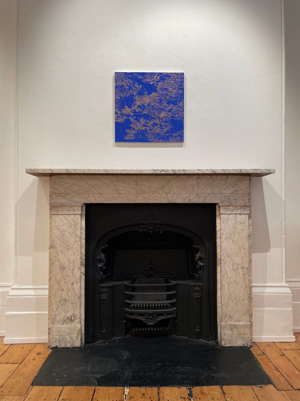 Sue Arrowsmith - Works | Purdy Hicks Gallery