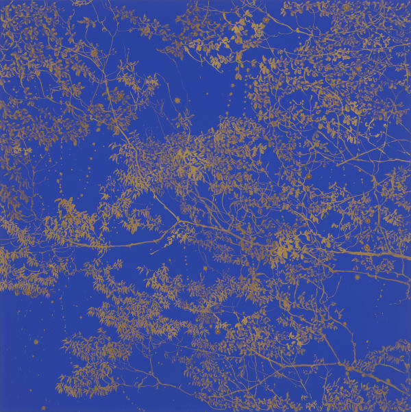 Sue Arrowsmith - Works | Purdy Hicks Gallery