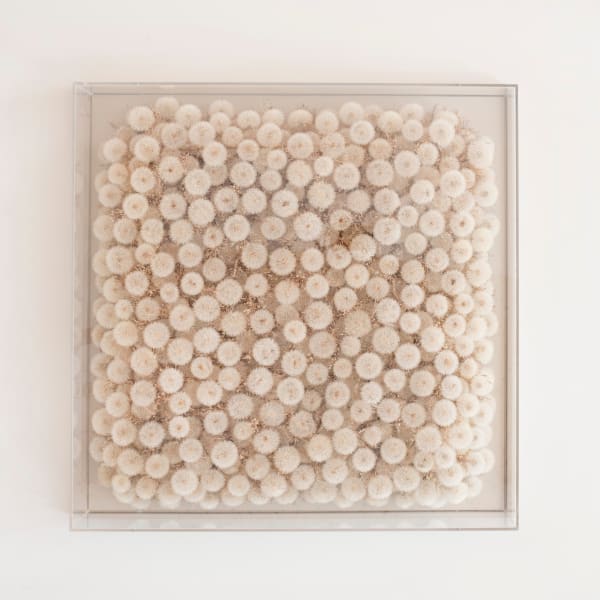 Artists | Rademakers Gallery