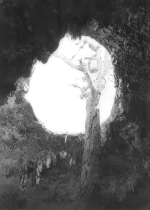 Sally Gall - Works | Robert Klein Gallery