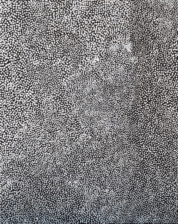 East Kimberley Art - Short St Gallery