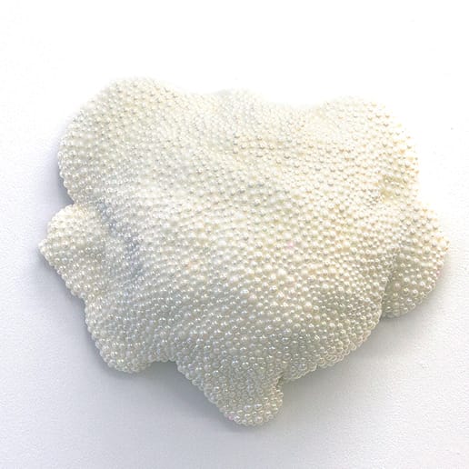 Dan Lam - "Delicious Monster" | 4 - 25 May 2019 | Hashimoto Contemporary