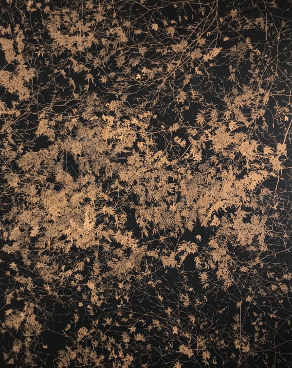 Paintings | Sue Arrowsmith