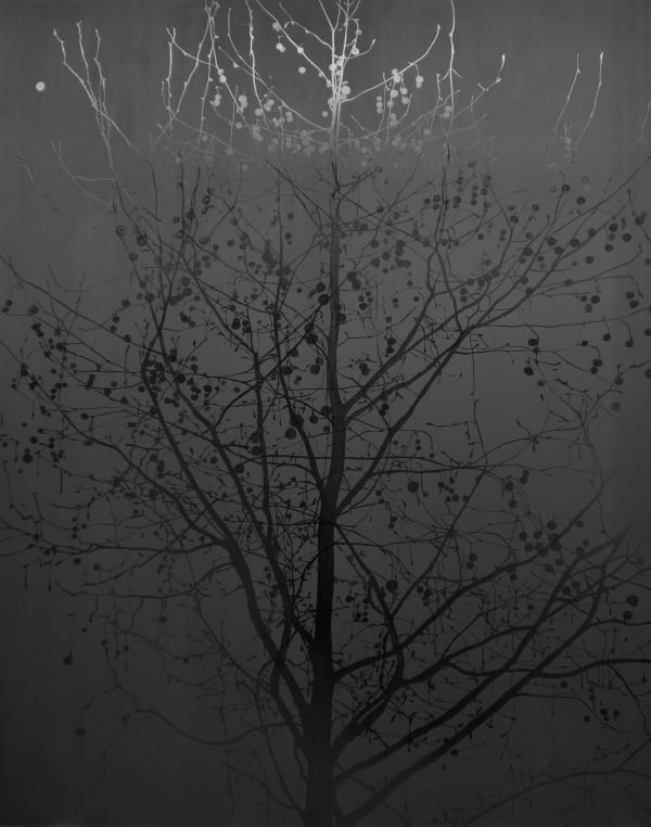 Paintings | Sue Arrowsmith