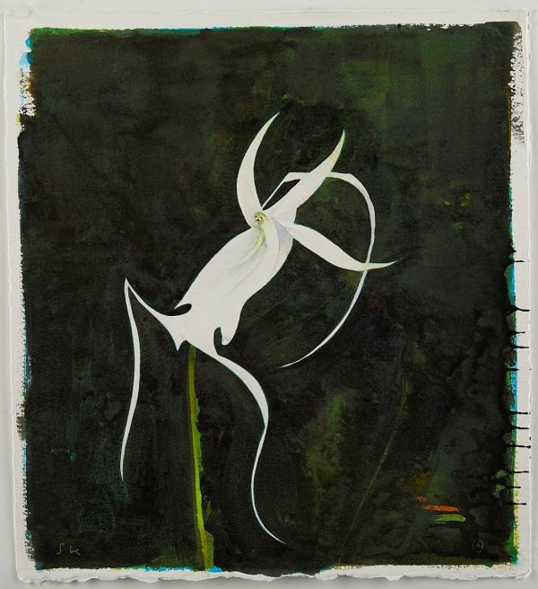 Artwork | Surovek Gallery