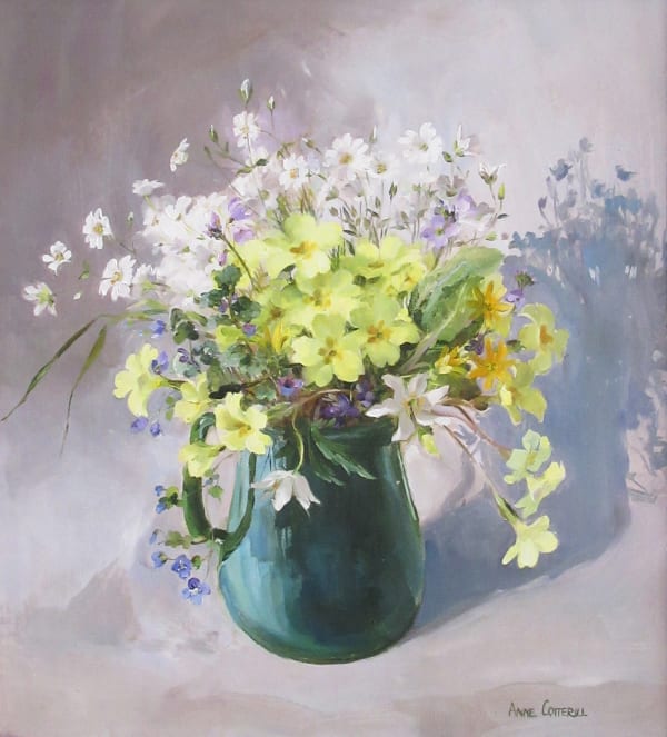 Anne Cotterill | Thompson's Gallery