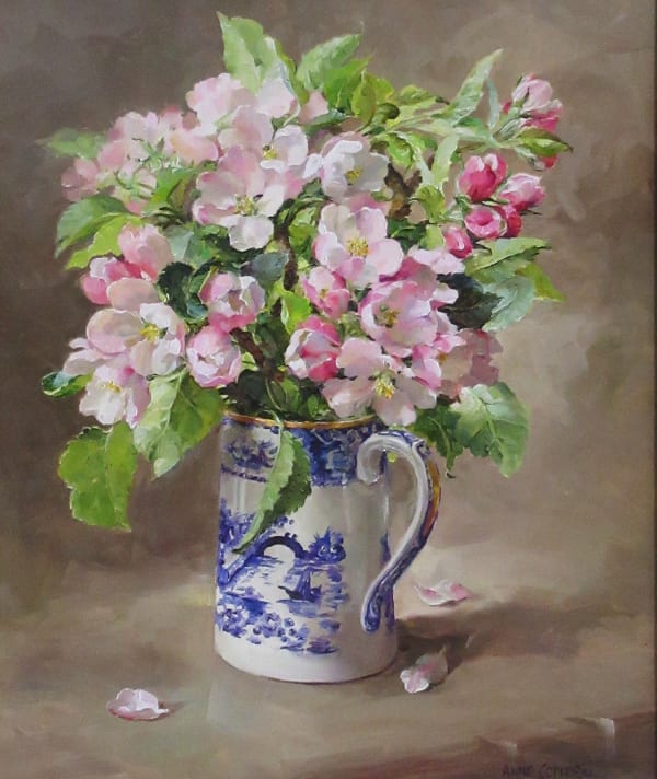 Anne Cotterill | Thompson's Gallery