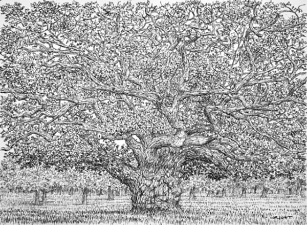 Roy Wright PS | Thompson's Gallery