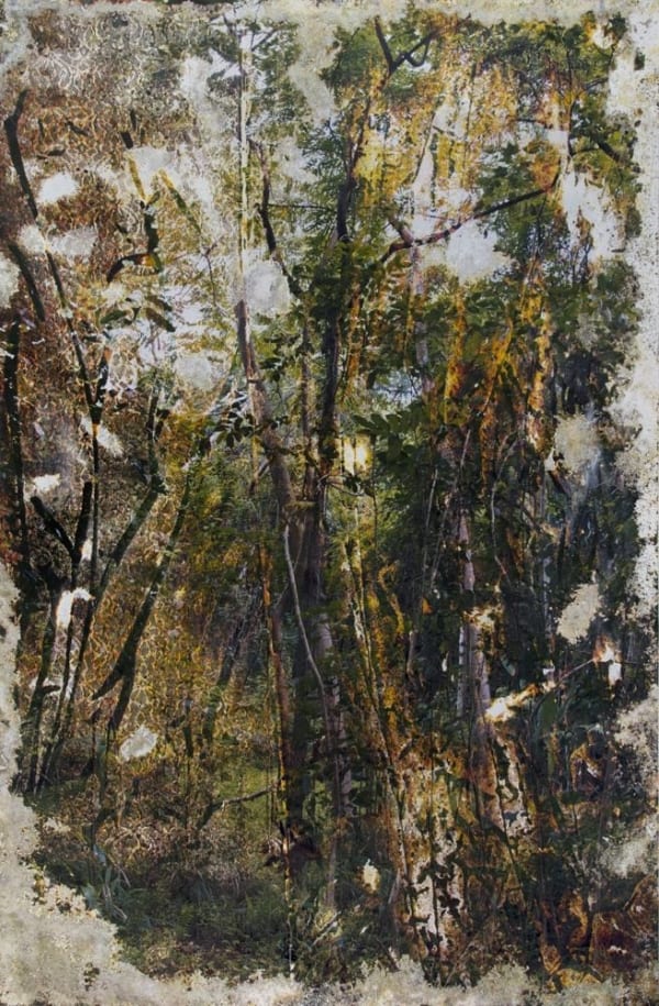 Matthew Brandt - Works | Yossi Milo