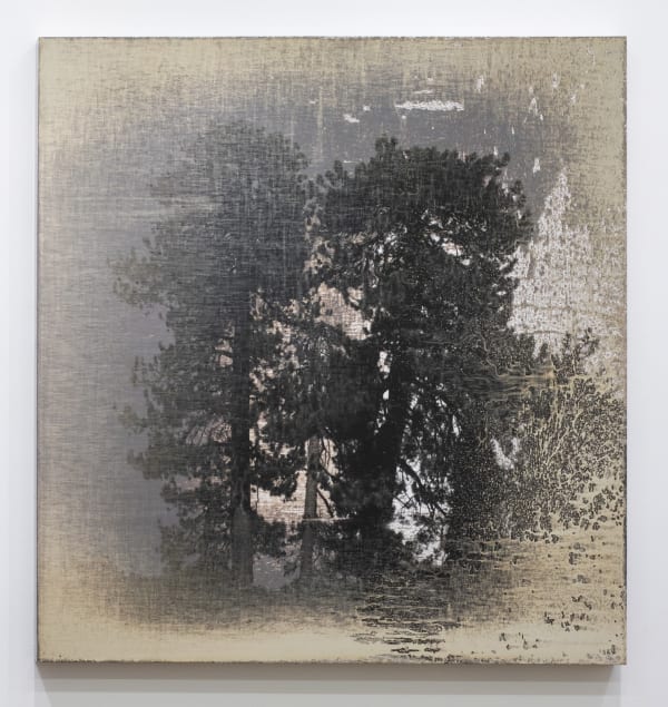 Matthew Brandt - Works | Yossi Milo