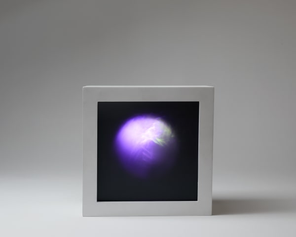 Artists | form & concept gallery