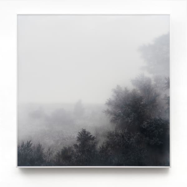 Kibong Rhee | Tina Kim Gallery