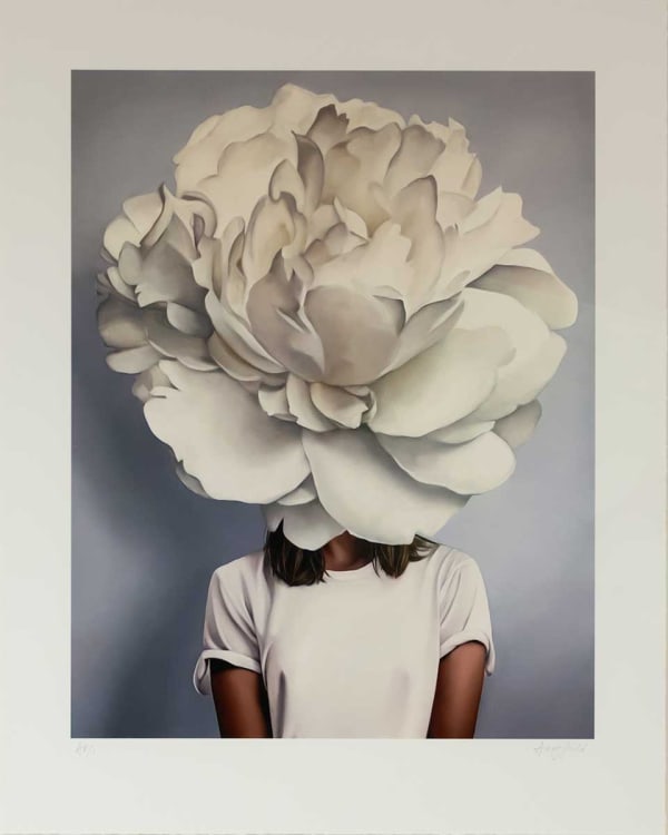 Amy Judd - Works | Hicks Gallery