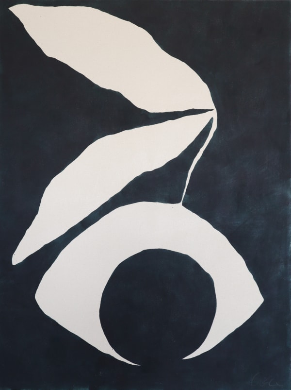 Kate Roebuck - Works | Dimmitt Contemporary Art