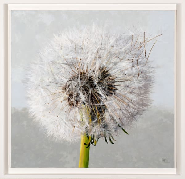 Exhibitions | Jonathan Cooper