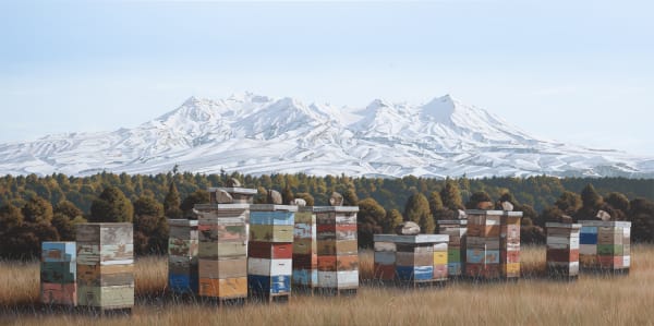 Page Galleries | Wellington Art Gallery | Contemporary & Historical Artwork