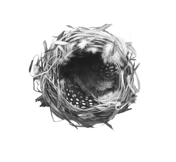 Jonathan Delafield Cook - Works | Purdy Hicks Gallery
