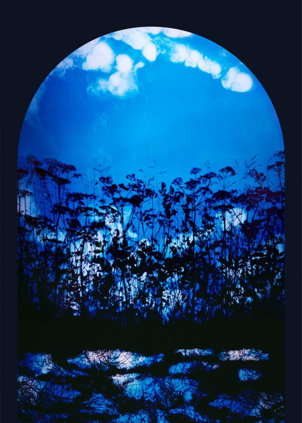Susan Derges - Works | Purdy Hicks Gallery