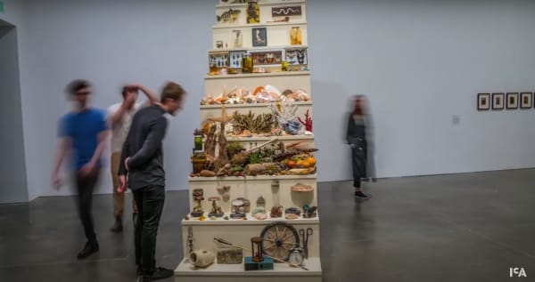 Mark Dion | Tanya Bonakdar Gallery