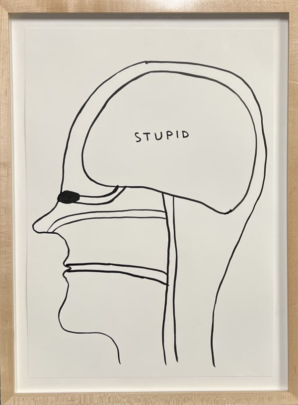 David Shrigley - Works | The Drang Gallery
