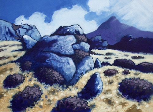 Chris Neale - Biography | Ffin y Parc Gallery