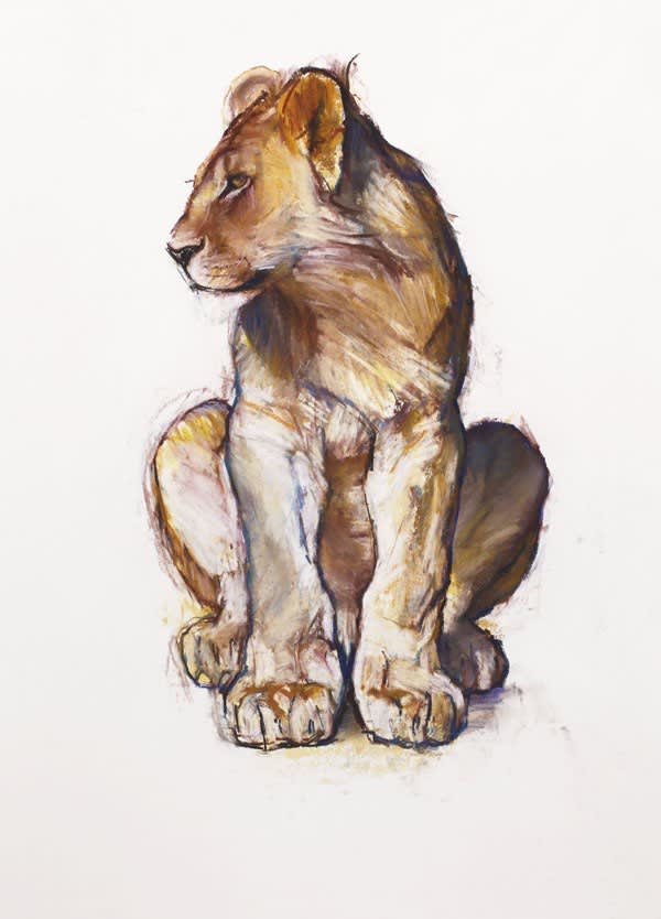 Mark Adlington | John Martin Gallery