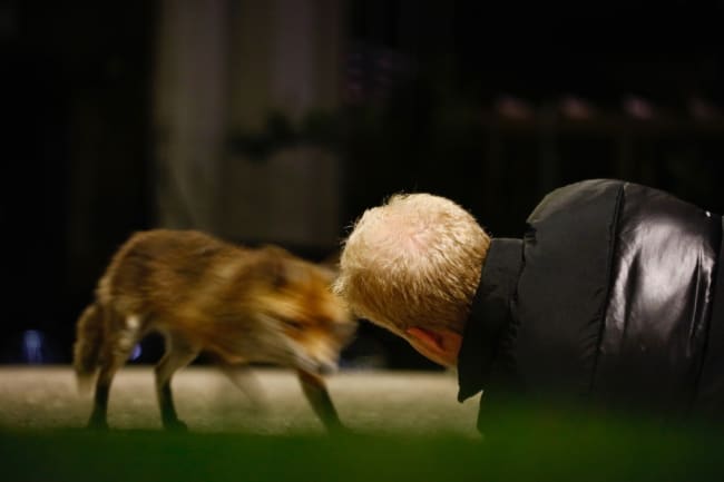 Mark Adlington | John Martin Gallery