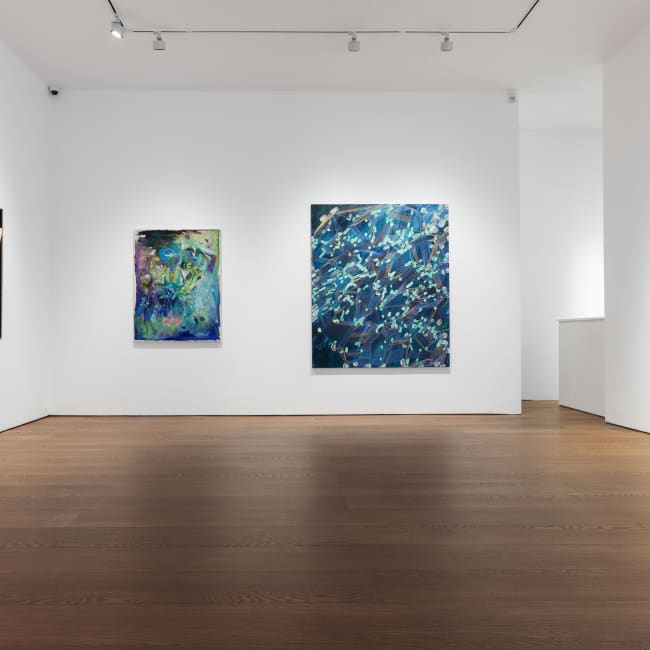 Supernova | Flowers Gallery