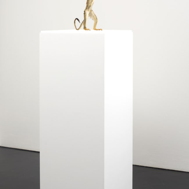 David Shrigley, Headless Monkey, 2012 | Stephen Friedman Gallery