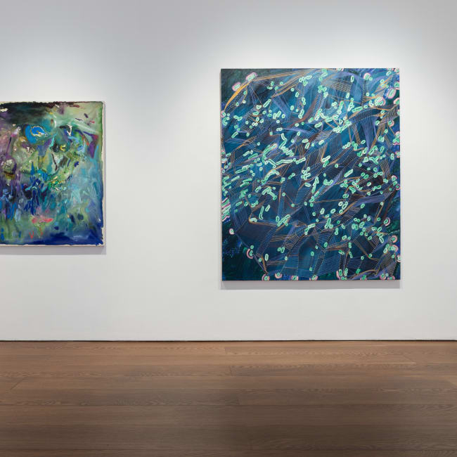Supernova | Flowers Gallery
