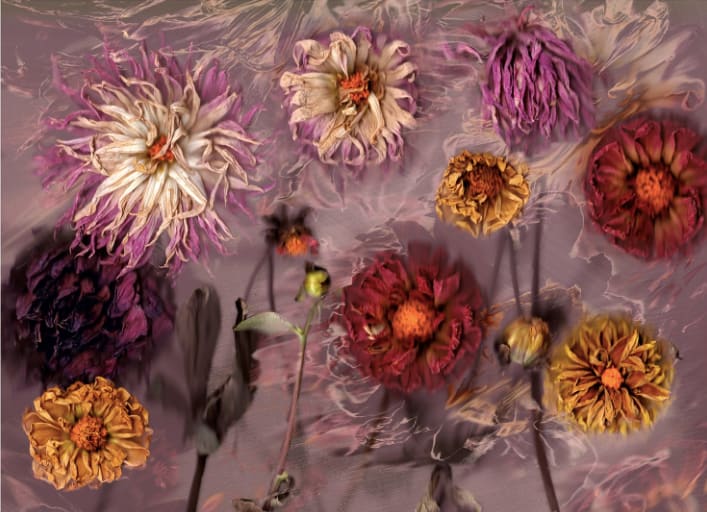 PHOTOGRAPHY SALES GALLERY | CENTRE FOR BRITISH PHOTOGRAPHY