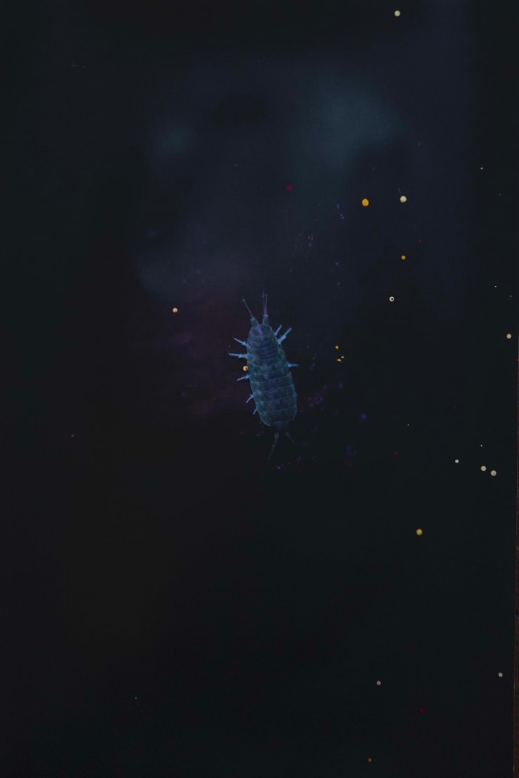 UNIQUE | Hangar Gallery