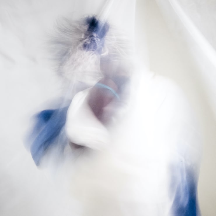 Simone Boon | Otomys