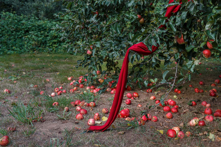 Works - Naeemeh Naeemaei | Karin Clarke Gallery