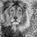 David Yarrow, Waterworld | Galerie Zuger