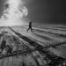 Sebastião Salgado, Kuwait - A Desert on Fire Portfolio, 1991 | The ...