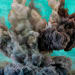 Kim Keever - Works | Robert Klein Gallery