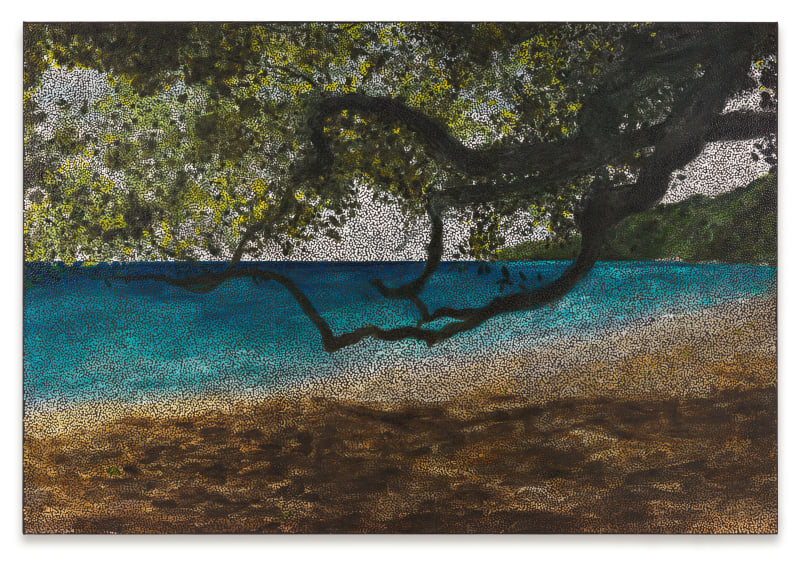 Daniel Boyd | Marian Goodman