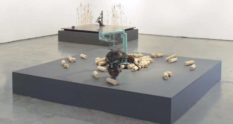 Tim Lewis | Flowers Gallery