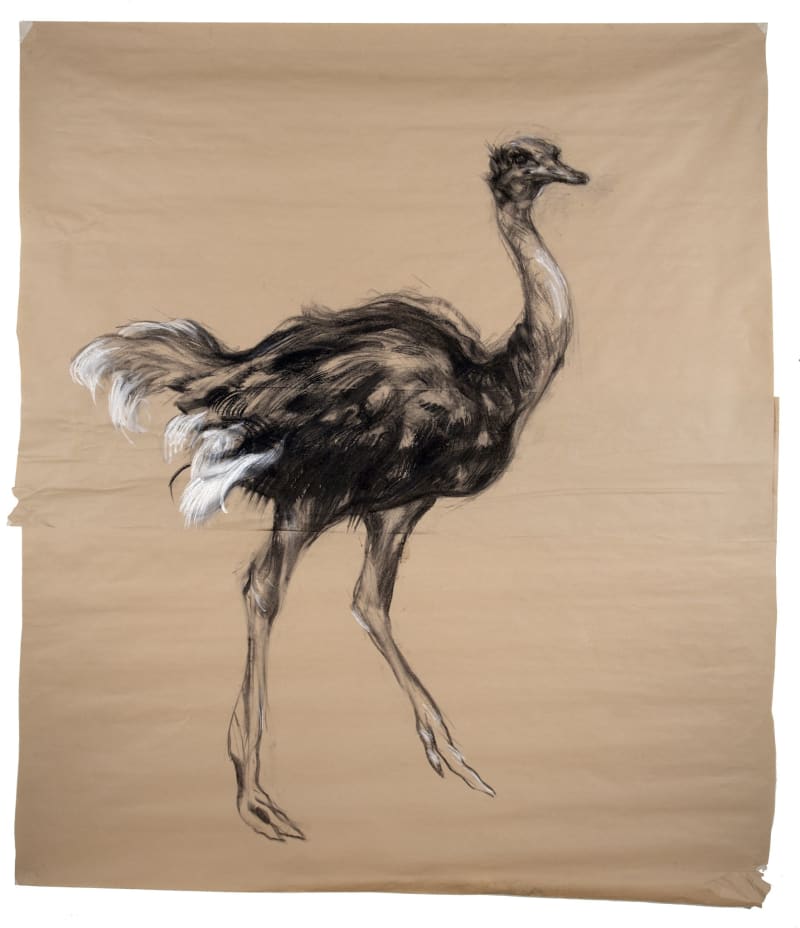 Nicola Hicks | Flowers Gallery