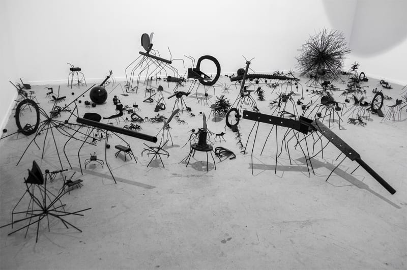 David Shrigley | Stephen Friedman Gallery