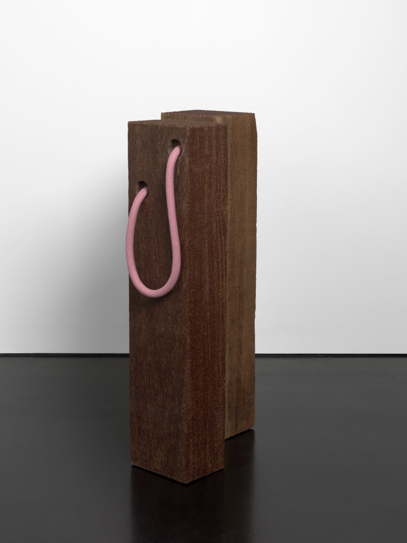 Tonico Lemos Auad | Stephen Friedman Gallery