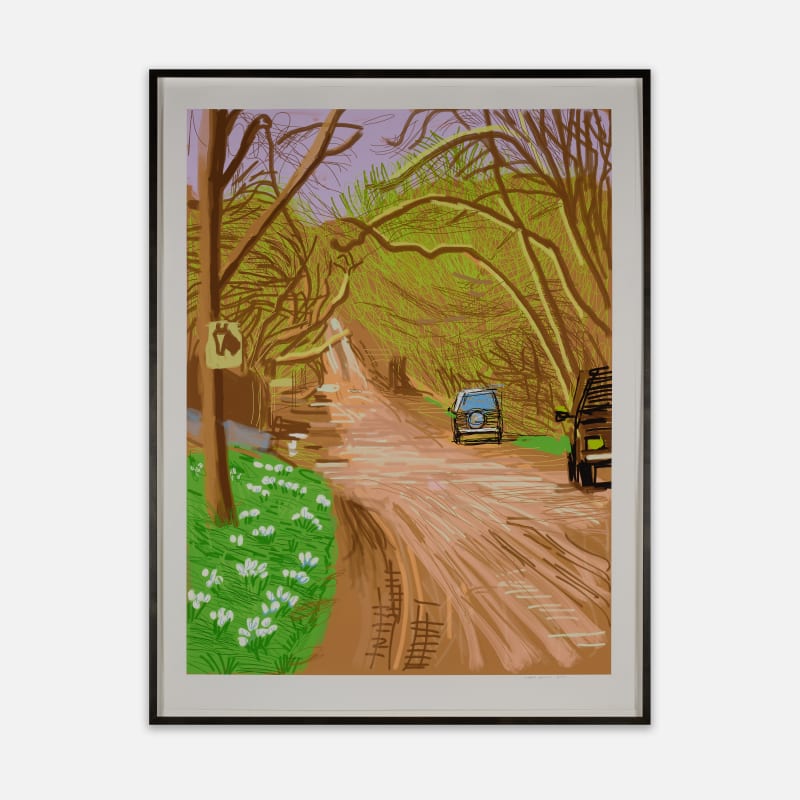 David Hockney | Living in Colour | Halcyon Gallery